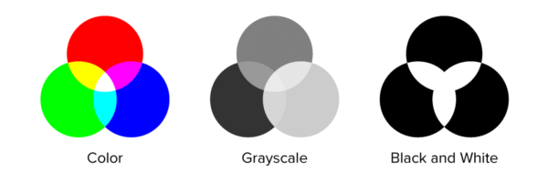 How to Convert Image to Vector in Illustrator ? - Clipping Path Creative