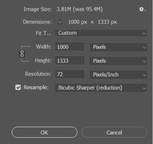 How to Resize Image in Photoshop - Clipping Path Creative Inc
